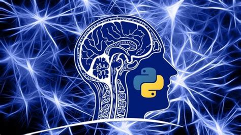 Top 5 Programming Languages For Data Science And Machine Learning In