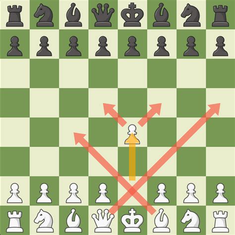 Chess Openings Chess Terms