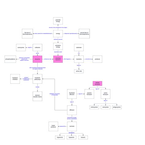 Ch 4 Concept Map Energy Thermodynamics And Metabolic Pathways Studocu