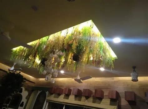 Grass Ceiling Design