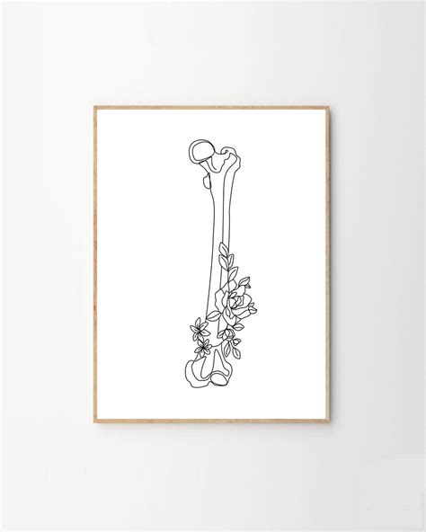 Bones Line Art Anatomy Wall Art Medical Office Physio Medical Line