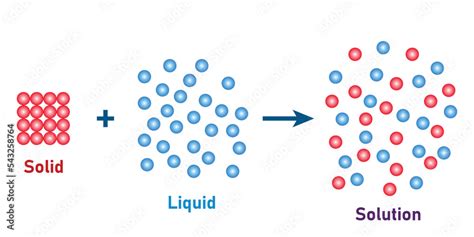 Solid Dissolved In Liquid Diagram Scientific Vector Illustration