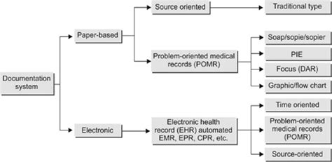 Nursing Documentation Charting Recording And Reporting Keski
