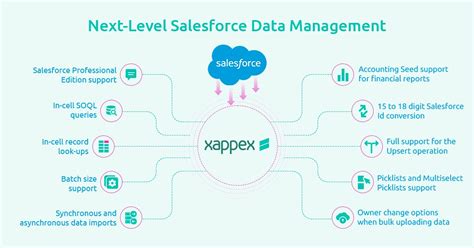 Xappex Llc On Linkedin Xappex Salesforcedatamanagement