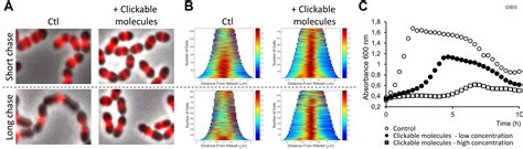 Pneumococcal Cell Envelope Ibs Institut De Biologie Structurale Grenoble France
