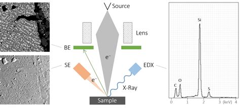 SEM EDX Detektoren SE BE EDX RJL Micro Analytic