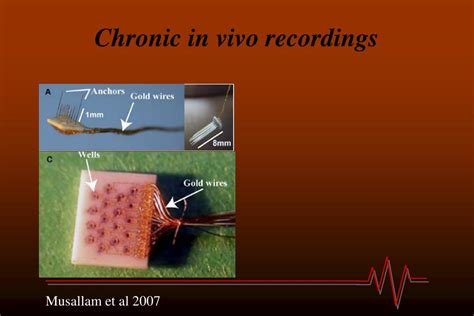 Ppt Multielectrode Array Powerpoint Presentation Free Download Id