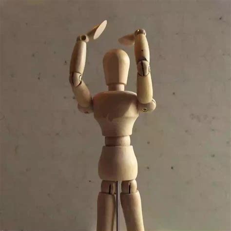 Animation Flickr