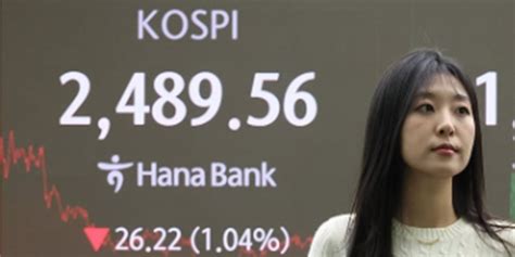 코스피 개인 매수세에 3일 만에 반등 2500선 턱밑 코스닥은 1대 올라
