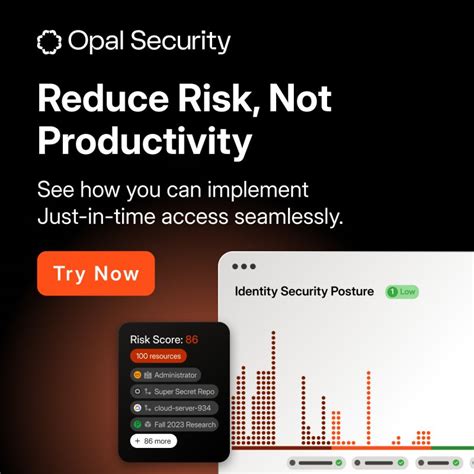 Opal Platform Streamlined Identity Access And Risk Management Opal
