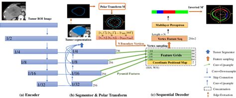 Overview Of Our Tumor Boundary Semantics Modeling Framework Download