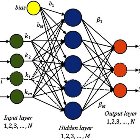 structure of the single hidden layer feed forward neural network using