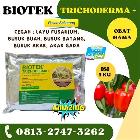 0813 2747 3262 Distributor Fungisida Tricoderma Karang Tinggi
