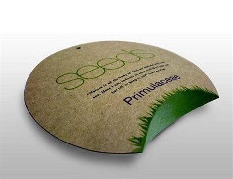 Grass For Your Home Or Office Desk