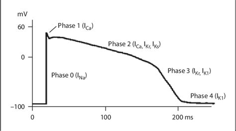 Figure 1 From Qt Prolongation And Torsade De Pointes Induced By Fluoroquinolones Infrequent