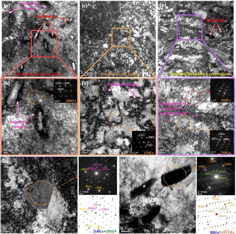 Tem Micrographs Revealing The Deformation Microstructure And Download Scientific Diagram