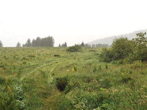 Започват проверки за нерегламентирано палене на огън на територията на Природен парк „Витоша“