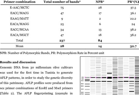 Polymorphism Rates Of The Six Primer Combinations Download Table