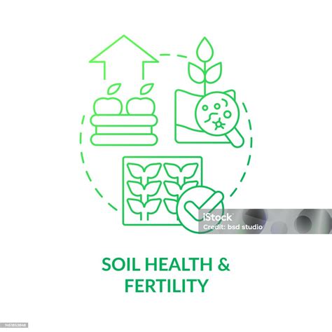 Soil Health And Fertility Green Gradient Concept Icon Stock