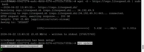 how to install the openlitespeed web server on ubuntu 22 04 shapehost