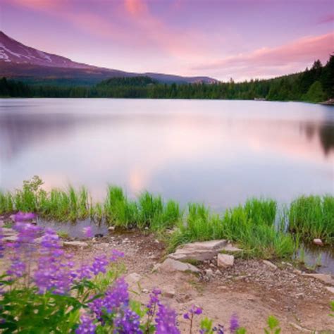 Wen Qiao South China Agricultural University College Of Water Conservancy And Civil