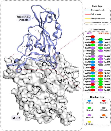 The 2d Interactions Diagram Shows The Crystal Structure Of The Download Scientific Diagram