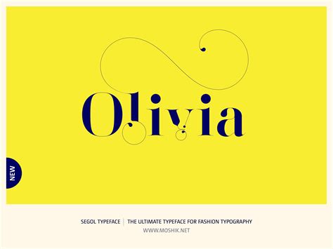 How Sexy Fonts Can Elevate Your Fashion Brand How Sexy Fonts Can Elevate Your Fashion Brand