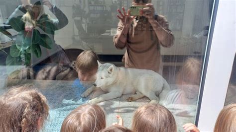 Čebele Na Vlaku Utrinki Vrtec Mojca