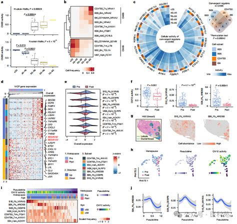 数据整合 空间分析 细胞互作 临床关联（单细胞转录组 空间组 常规转录组基因组联合分析）个性化生物信息深度挖掘开拓cns 知乎