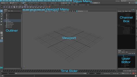maya basics