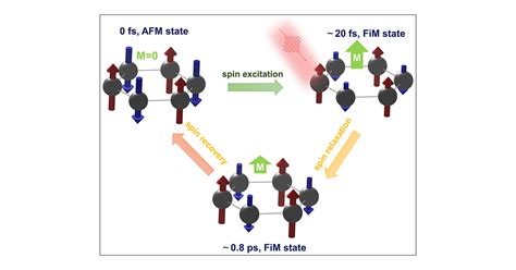 Ultrafast Laser Pulse Induced Transient Ferrimagnetic State And Spin Relaxation Dynamics In Two