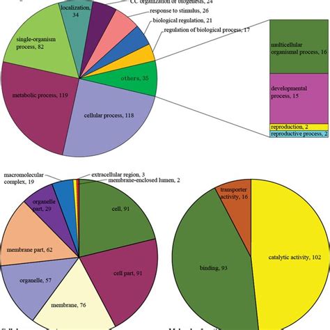 Pie Charts Of Go Annotation Terms Distribution At Hierarchic Level 2 In