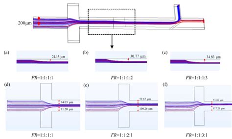 The Distance From The Bottom Of The Channel Along The Z Axis Download Scientific Diagram
