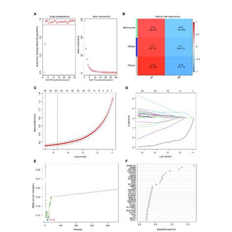Identification Of Diagnostic Feature Biomarkers Using Multiple Machine