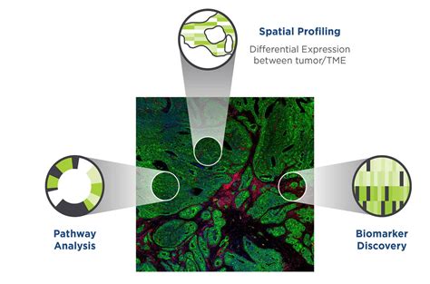 The Most Flexible Spatial Solution Geomx® Dsp