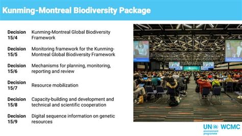 Monitoring Implementation Of The Kunming Montreal Global Biodiversity Framework Pdf
