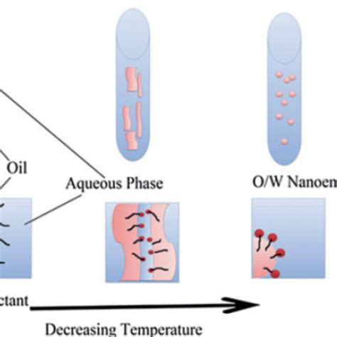 Ultrasonication Techniques Vaibhav Et Al 2019 Download Scientific