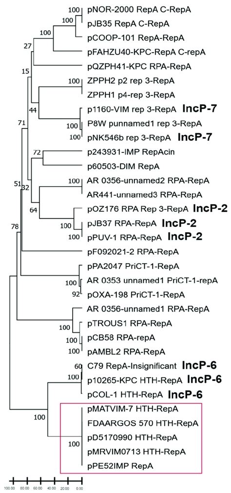 upgma phylogenetic tree of replicase a proteins in plasmids carrying