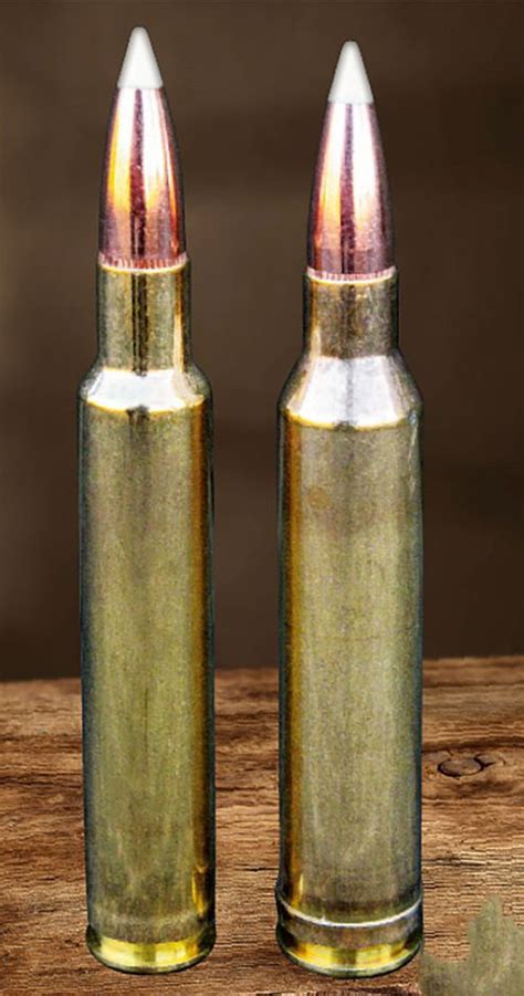 Reloading Data Reloading Room Reloading Equipment Sniper Training Firearms Training