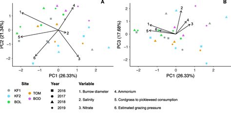 Two Dimensional Correlation Based Principal Component Analysis Pca