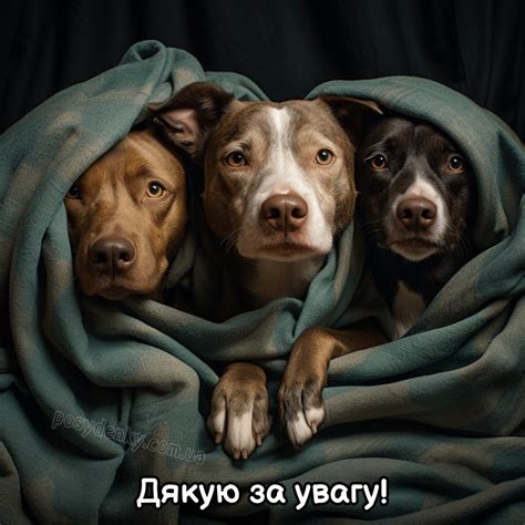 Дякую за увагу картинки