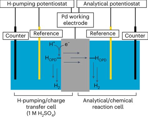Illustration Of The Electrochemical Double Cell Configuration The Download Scientific Diagram