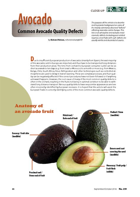 Common Avocado Quality Defects