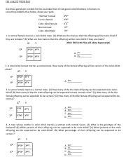 SexLinkedTraits20 Filled Pdf SEX LINKAGE PROBLEMS Use These Genotypic Symbols For The Sex