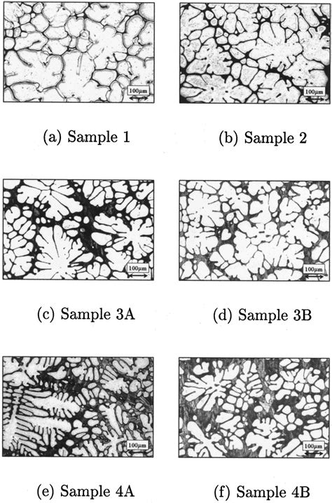 Representative Examples Of The Microstructures Of The Samples Download Scientific Diagram