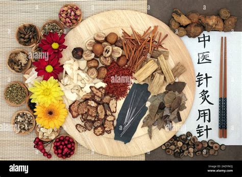 Chinese Herb Selection And Acupuncture Needles With Calligraphy Script