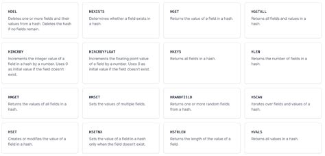 Redis 데이터 타입