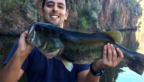 🐟 Saguaro Lake Fishing Report Today 🎣 October 2025