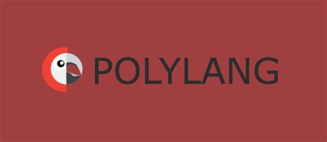 Multilingual Plugins A Must For Your Wordpress Site Pollion