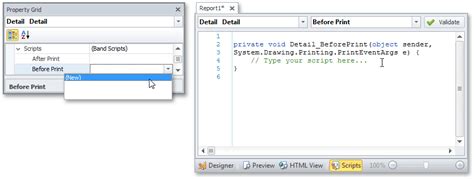 Scripting Overview Net Reporting Tools Devexpress Documentation